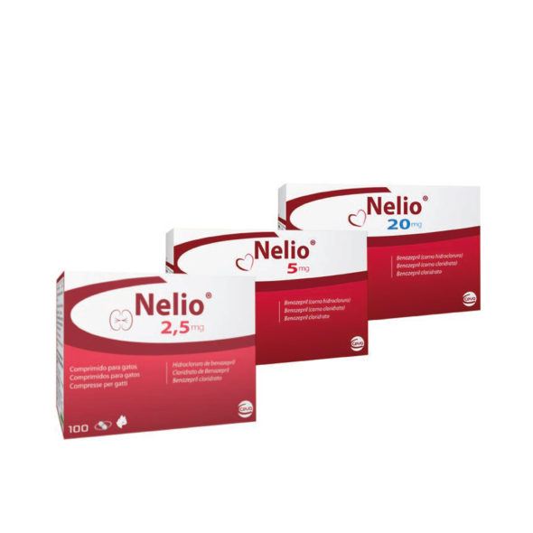 NELIO | PetsWorld