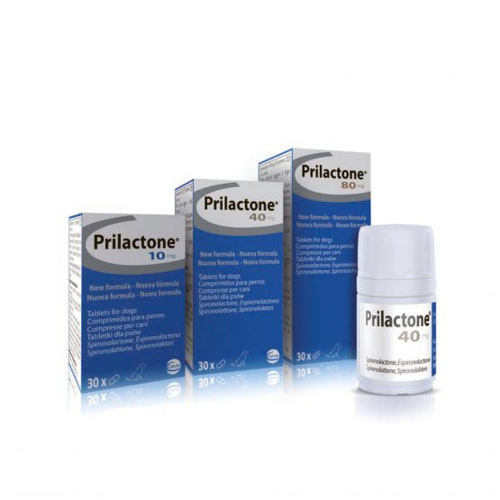 PRILACTONE | PetsWorld