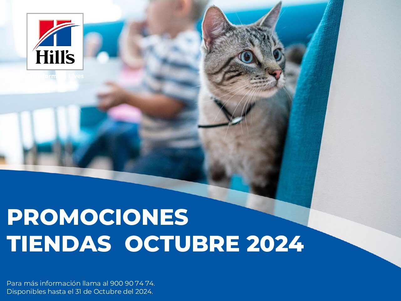 Flyers Promocional TIENDAS – Octubre 2024 | PetsWorld